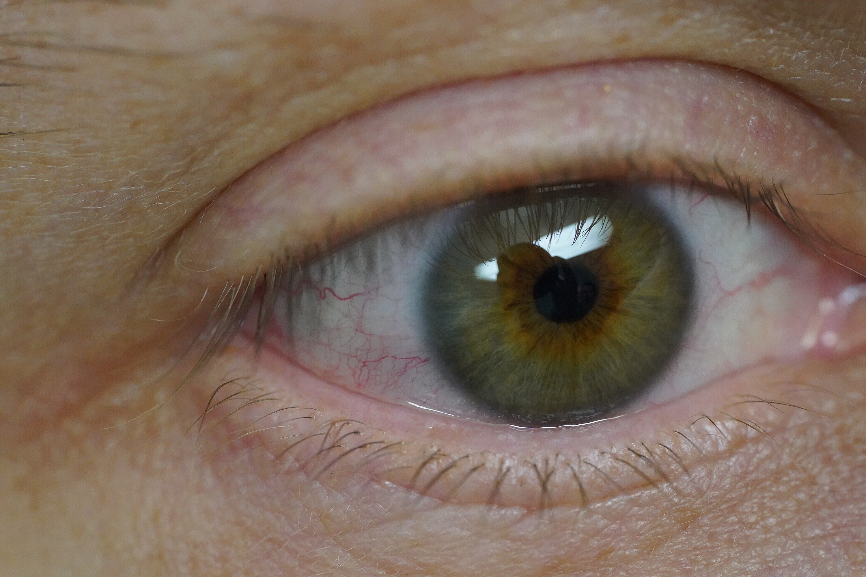 Auge um Auge: Wie ich ein gutes Foto noch besser machen wollte - digitec