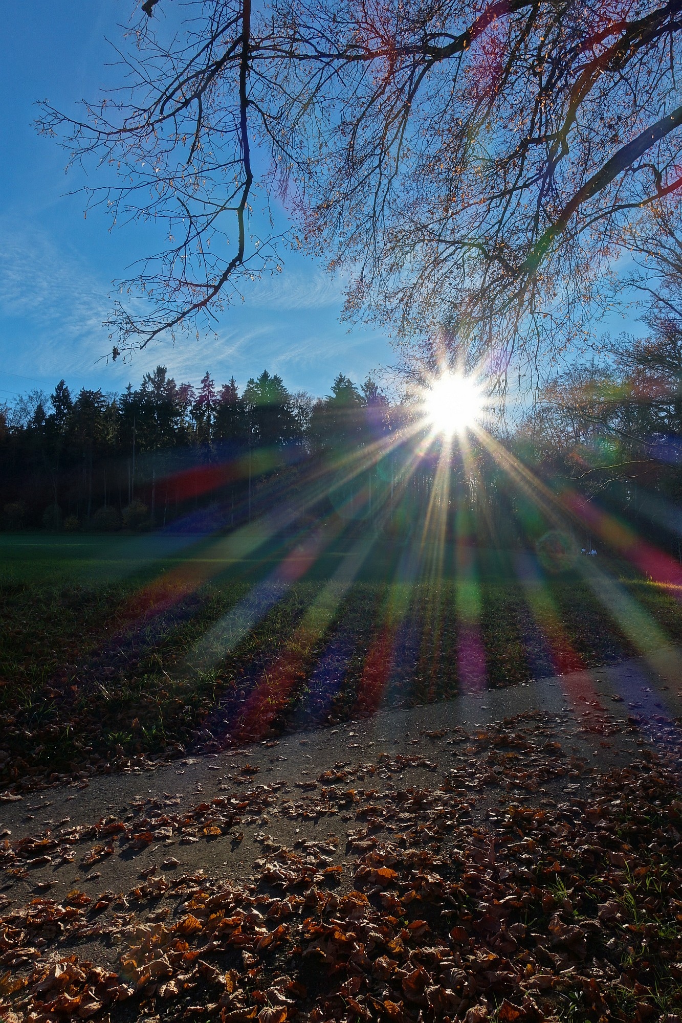 Breve consiglio fotografico: come rendere visibili i raggi di luce con ...