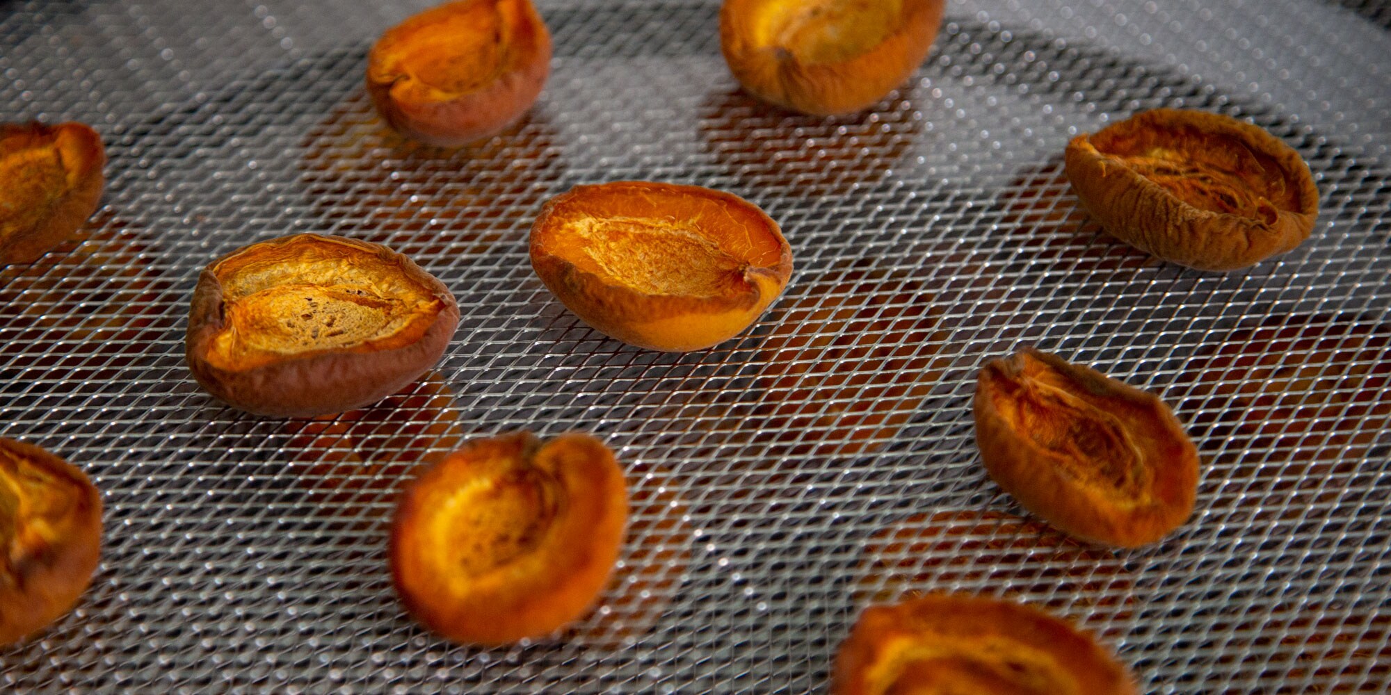 I face up to my dried fruit trauma - Galaxus