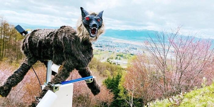 IT + Multimedia - Galaxus