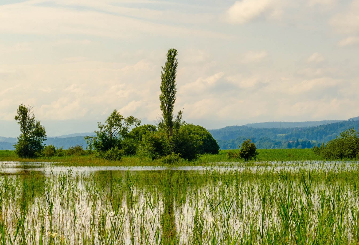 Fujifilm GFX 100S: 100 Megapixel im Alltag - digitec