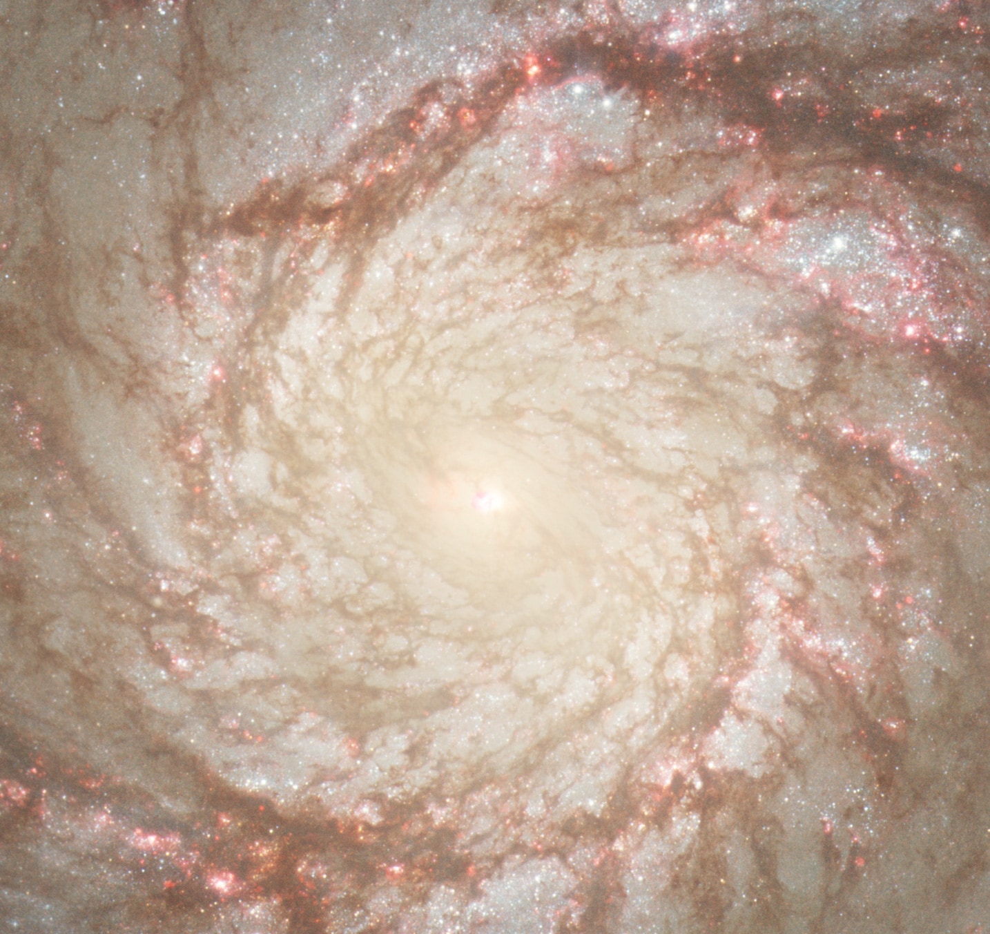 James-Webb-Teleskop porträtiert Whirlpool-Galaxie - digitec