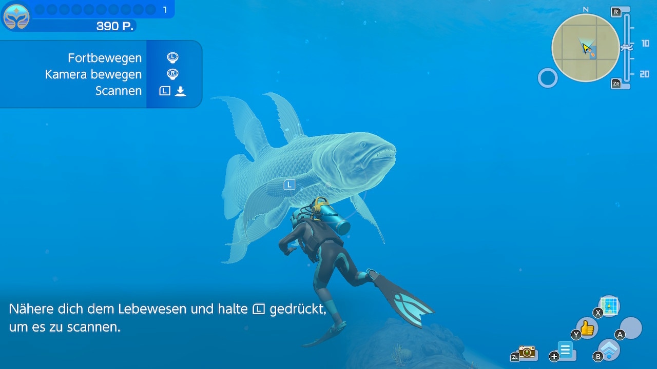 Endless Ocean Luminous per la Switch alla prova - Galaxus