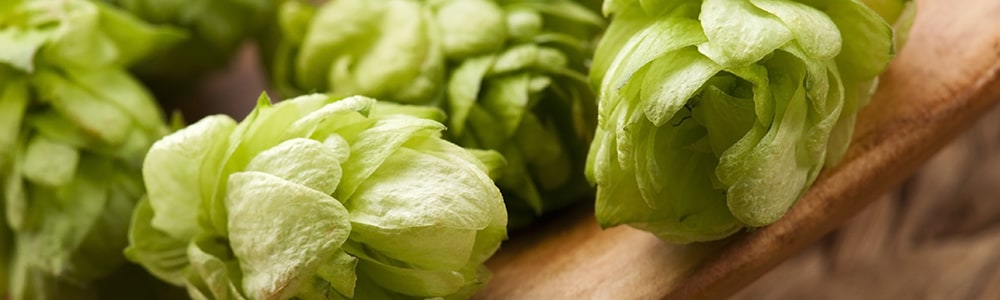 Bierwelt: Die Vielfalt der verschiedenen Sorten - Galaxus